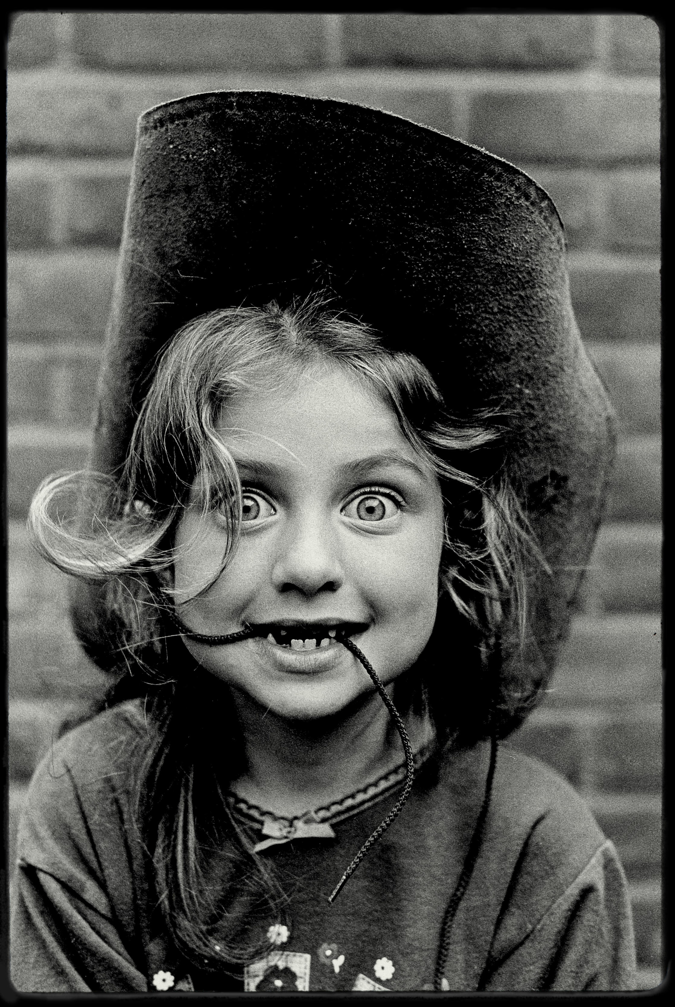 Family – Pitcher Post